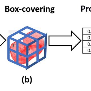 The Steps To Compute The LDM Download Scientific Diagram