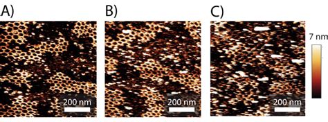 Video High Speed Atomic Force Microscopy Imaging Of Dna Three Point Star Motif Self Assembly