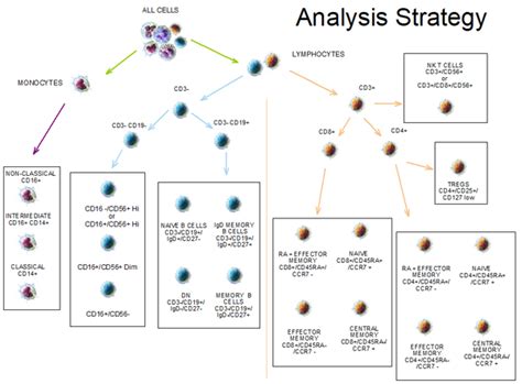 Fcs Express软件下载 流式细胞仪数据分析软件最新版 细胞仪数据工具 数据分析网—综合数据分析服务平台