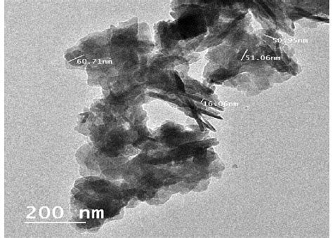 Tem Micrographs Of Znonps Synthesized By Garlic Download Scientific