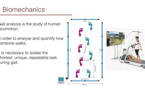 3d Walk Cycle Animation Course Maya Cristina Teaching Art