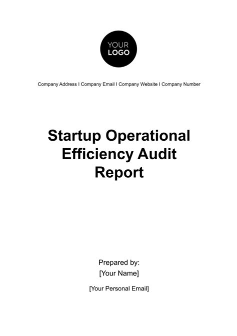 Startup Operational Efficiency Audit Report Template Edit Online