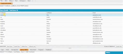 Soql Query Result Export From The Salesforce Developer Console