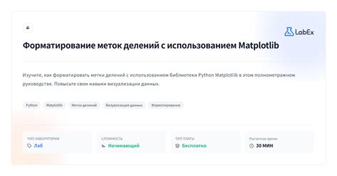 Python Matplotlib Руководство по форматированию меток делений Labex