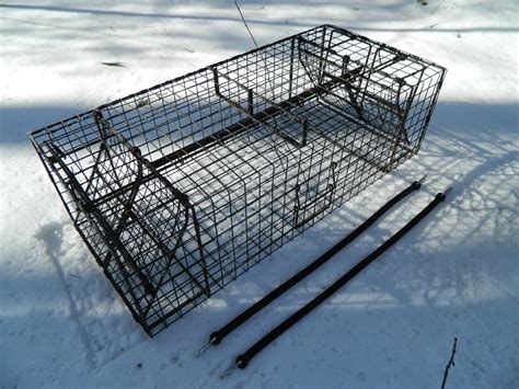 Comstock Cage Traps, In Action on the Line : January 2014