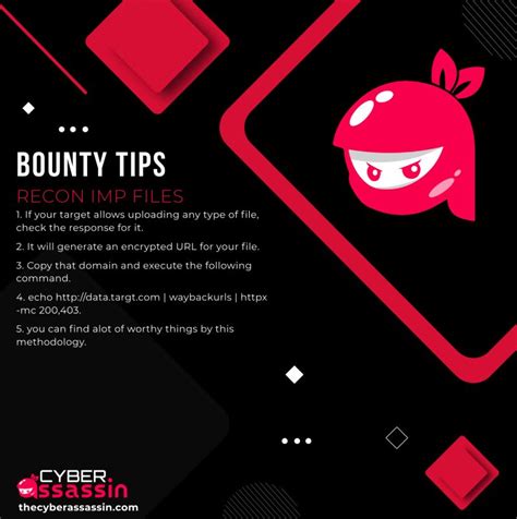 Cyber Assassin On Linkedin Cyber Security Cybersecurity Bug Bugs