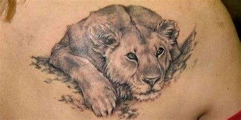 ۴۰ طرح و مدل زیبا و جذاب تاتو گرگ و شیر مردانه و زنانه رز سرخ