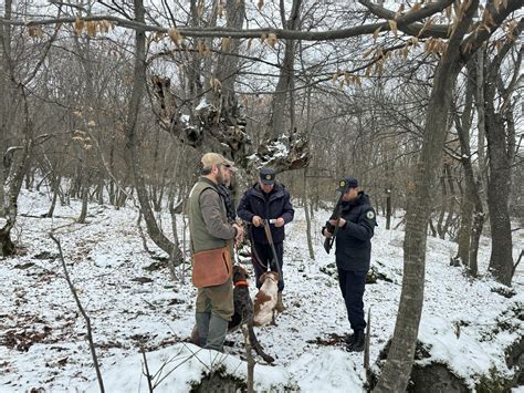 სსდ გარემოსდაცვითი ზედამხედველობის დეპარტამენტი