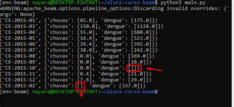 warning apache beam options pipeline options discarding invalid