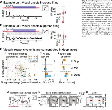 figure 3 from visual modulation of firing and spectrotemporal receptive