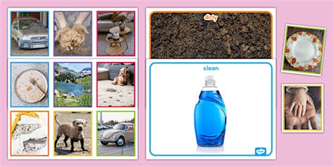 Clean And Dirty Photo Sorting Worksheet Teacher Made