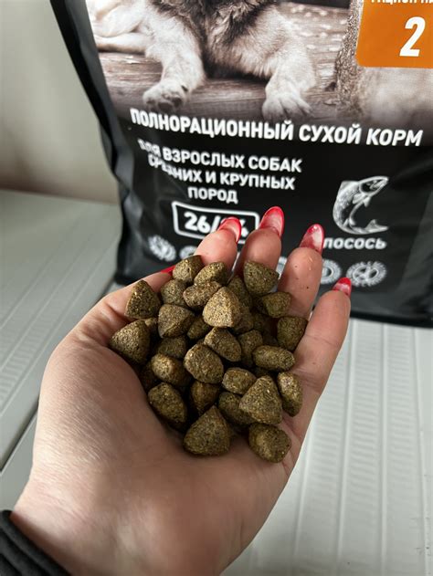 Корм для собак Urban Tramp Сухой корм Holistic класса для взрослых ...