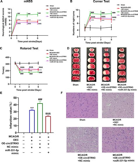 M1 Microglia Derived Exosomes Promote A1 Astrocyte Activation And Aggr Jir