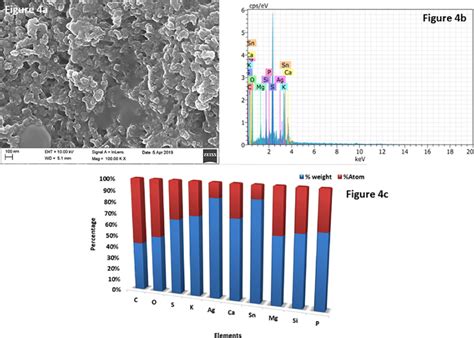 A Field Emission Scanning Electron Microscope Image Of Green Download Scientific Diagram