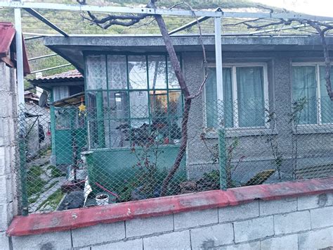 Къщи продава Едноетажна къща 50 кв м РЗП 1000 кв м двор Къщи Вили Провадия информация