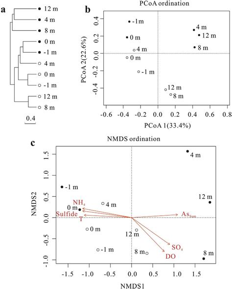 Microbial Community Distribution Patterns At A 97 Similarity Level Download Scientific