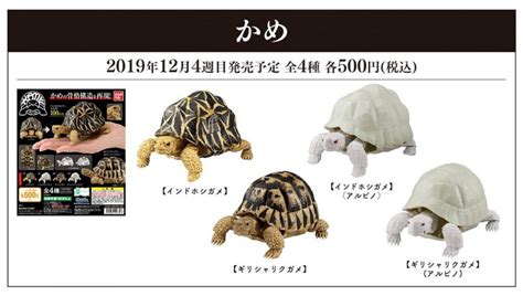 ガシャポン バンダイ いきもの大図鑑 メルカリ