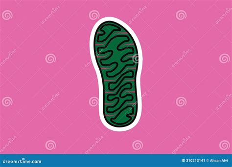 Comfortable Orthotic Shoe Insole Sticker Vector Illustration Fashion Object Icon Concept Stock
