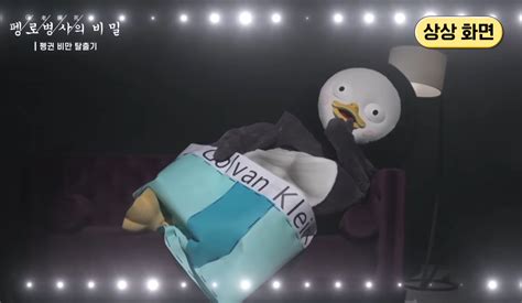 이슈 유머 명품 팬티 입은 펭수