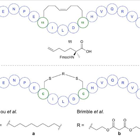 Lysine Modification And Acetylated Analogs A Synthesis Of