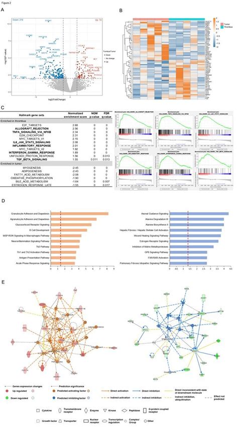 Transcriptome Difference Based On Bulk Rna Seq Data Between Tumor