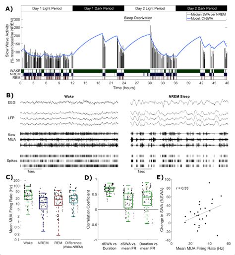 Cortical Spike Firing Patterns Are Associated With The Dynamics Of Download Scientific Diagram