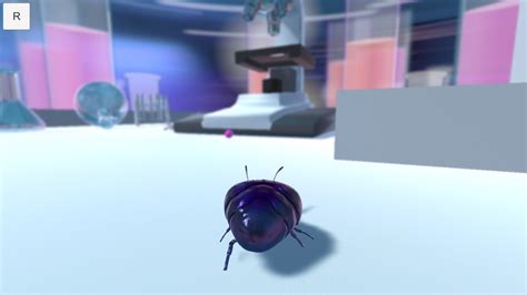 Bug Lab