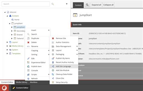 Experience Sitecore A Full Guide To Creating A Multi Language Sites