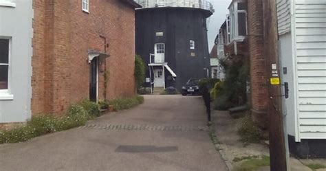 Reelstreets Babe For Sex