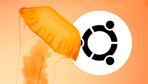 Ubuntu LTS Codename Revealed OMG Ubuntu