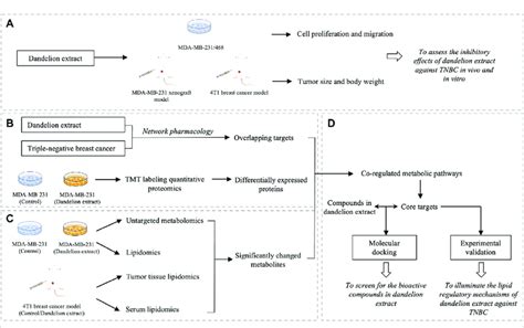 The Schematic Flowchart Of The Integrated Analysis For Dandelion