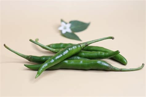 농장 신선한 유기농 그린 칠리 고추 녹색 배경의 바구니에 갓 수확 한 건강하고 매운 고추 공간을 복사합니다 0명에 대한 스톡 사진 및 기타 이미지 Istock