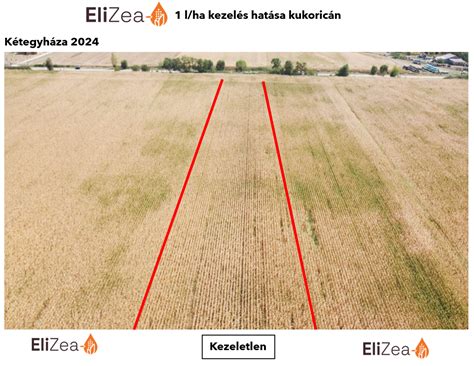 Elizea Certis Belchim