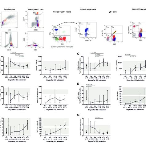 T Cell Subsets Were Differentiated By Flow Cytometry Representative Download Scientific