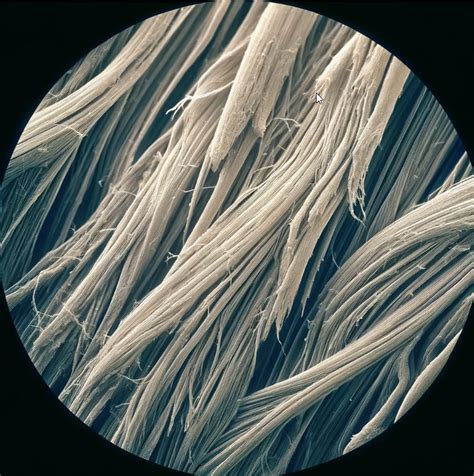 Asbestos Testing Products Methods And The Importance Of Laboratory Testing