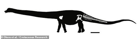 One Of The Greatest Finds Yet 98 Million Year Old Fossils In Argentina May Reveal Historys