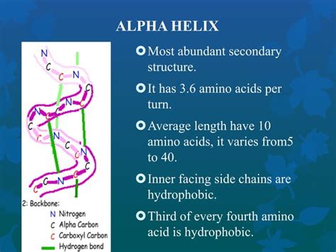 secondary protein structure prediction pptx chemistry science