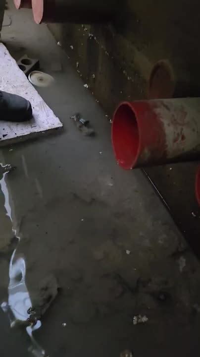 [video] Csd Sealing Systems As Posted On Linkedin