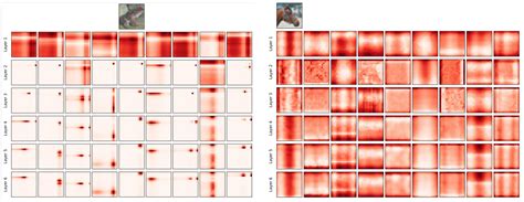 On The Relationship Between Self Attention And Convolutional Layers Weights And Biases