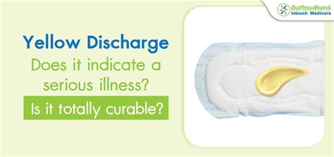 Yellow Discharge Causes Types Anatomy Images Bacterial Infections Of