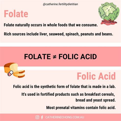 Folic Acid Versus Active Folate Supplement In Pregnancy Artofit