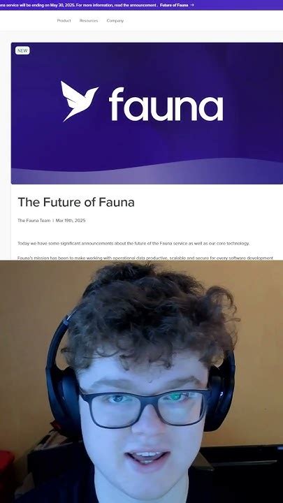 The Faunadb Meltdown Youtube