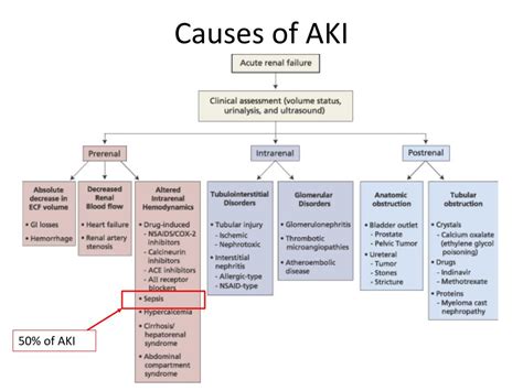 Ppt Aki Formerly Arf Powerpoint Presentation Free Download Id