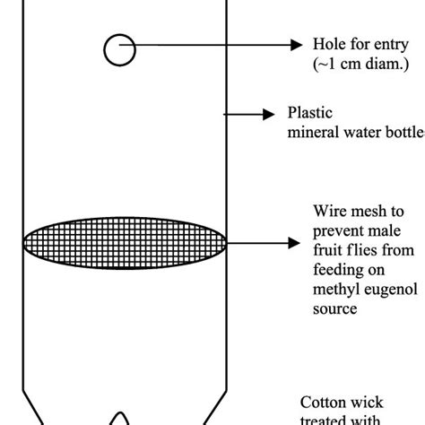 Methyl Eugenol Baited Trap Used To Trap Wild Bactrocera Fruit Fly Males