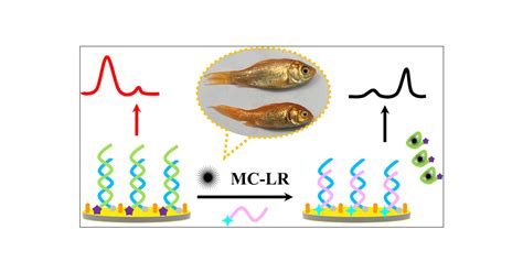 Aptamertarget Recognition Promoted Ratiometric Electrochemical Strategy For Evaluating The