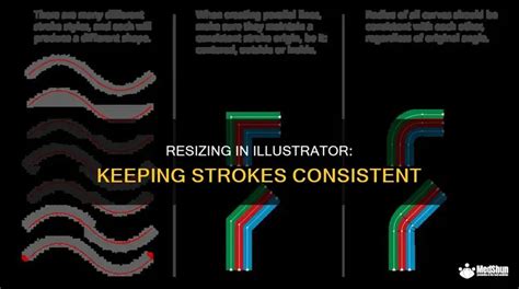 Resizing In Illustrator Keeping Strokes Consistent MedShun