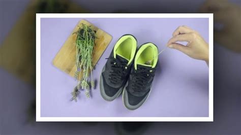신발의 발 냄새를 없애주는 5가지 재료 Youtube