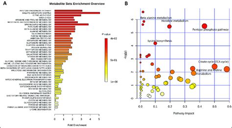 Metabolic Set Enrichment Analysis Msea Showing The Most Altered Download Scientific Diagram