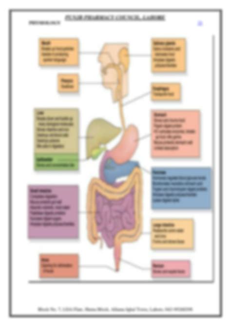 SOLUTION: Anatomy of digestive system with label diagram - Studypool