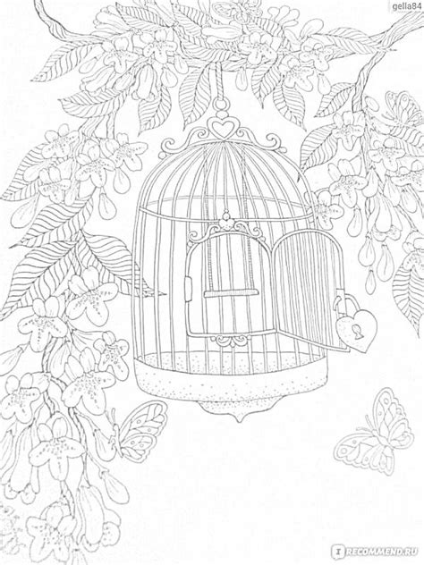 Раскраски лианы 192 раскраски скачать или распечатать бесплатно